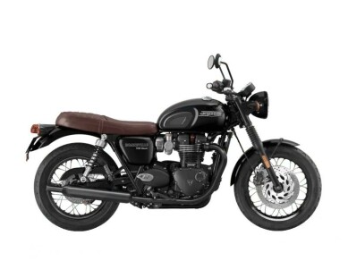 Home | Triumph Nassau County