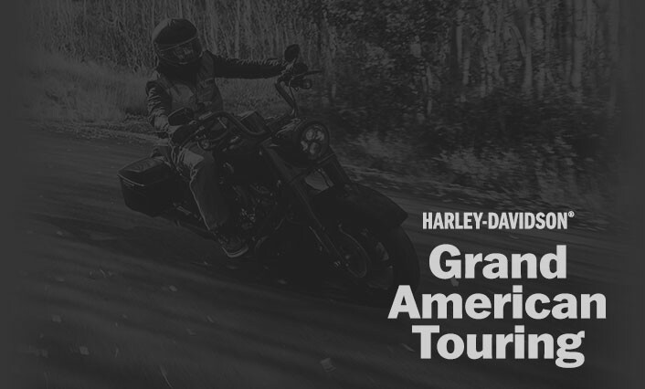 Harley Unleashes New 131 Cubic-Inch Milwaukee Eight Crate Engine - Hale ...