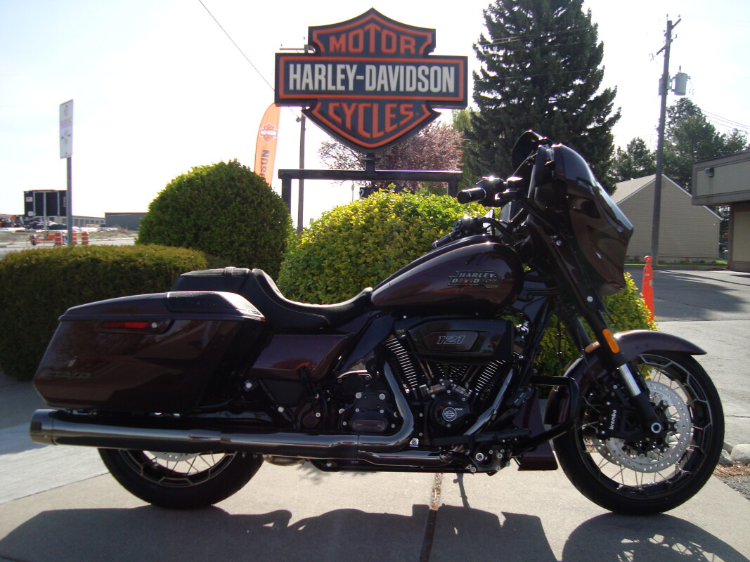 2024 Harley-Davidson® CVO™ Street Glide® Copperhead | Snake Harley ...