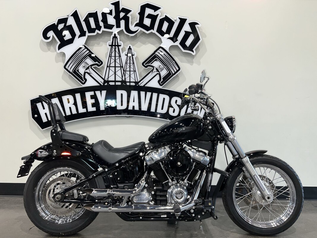 2020 Harley-Davidson® Softail Standard® FXST | Black Gold Harley-Davidson®