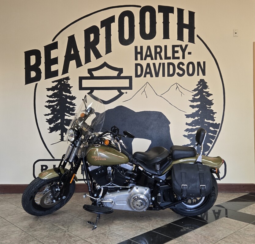 2008 Harley-Davidson® Softail® Cross Bones™ Olive Pearl | Beartooth ...